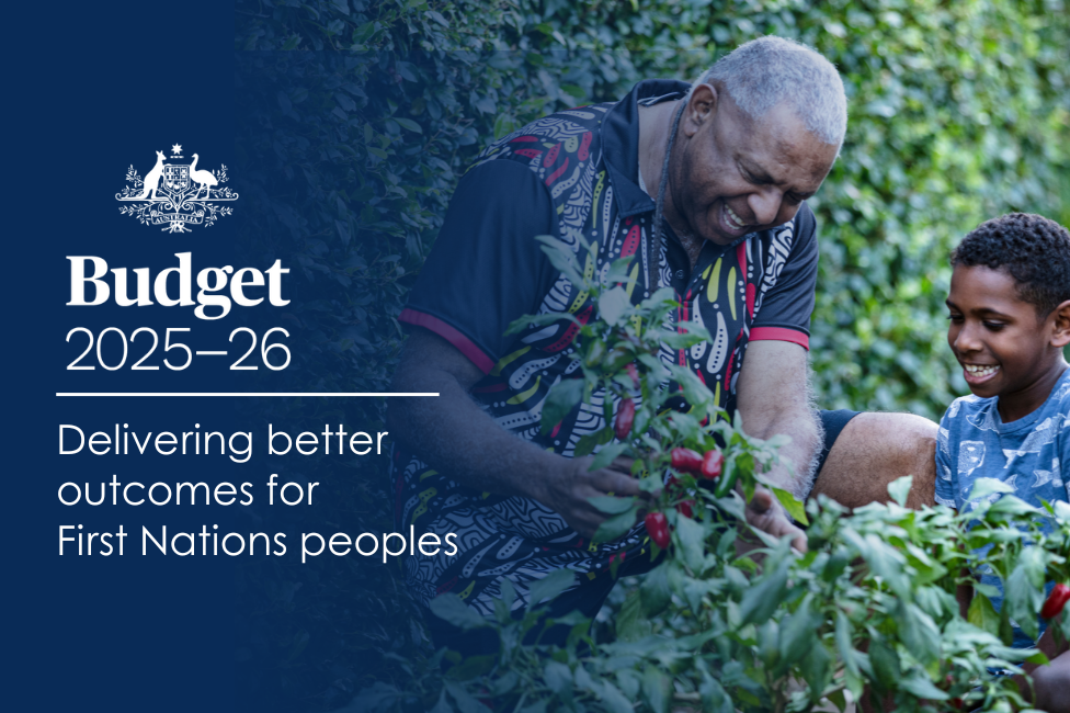 Budget 2025-26 | NIAA