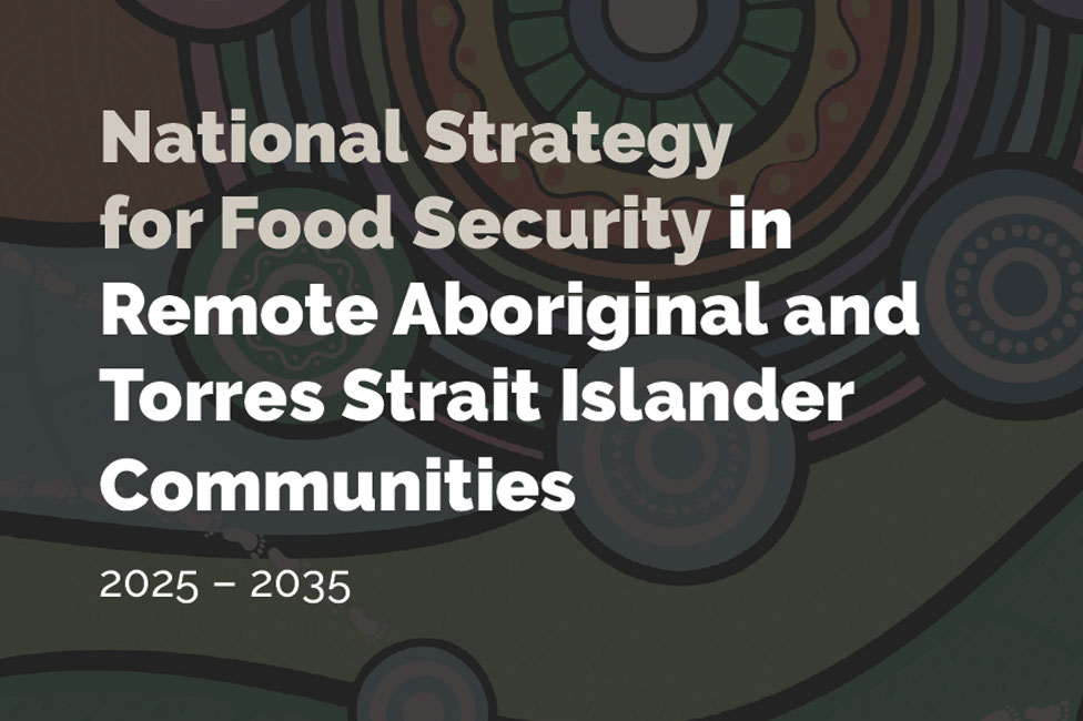 National Strategy for Food Security launched | NIAA