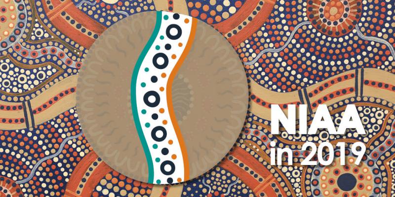 NIAA Year in Review | NIAA