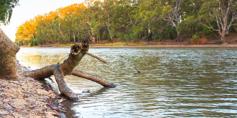 Grants now open for Murray-Darling Basin Indigenous River Rangers ...