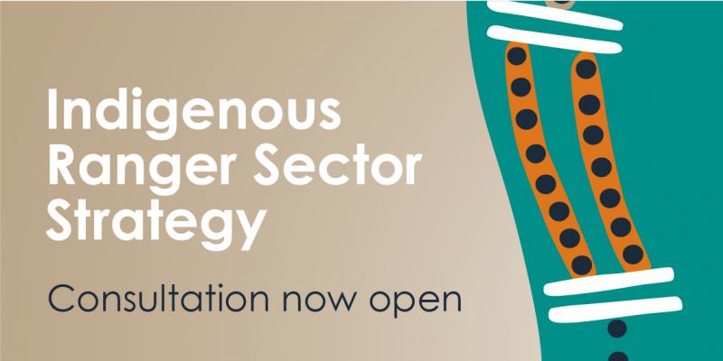 Indigenous Ranger Sector Strategy consultation now open | NIAA