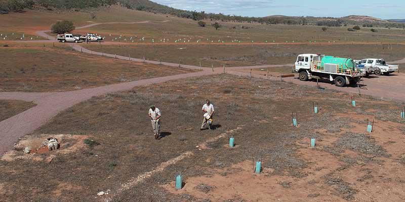 World Ranger Day - New Gawler Rangers loving their job | NIAA